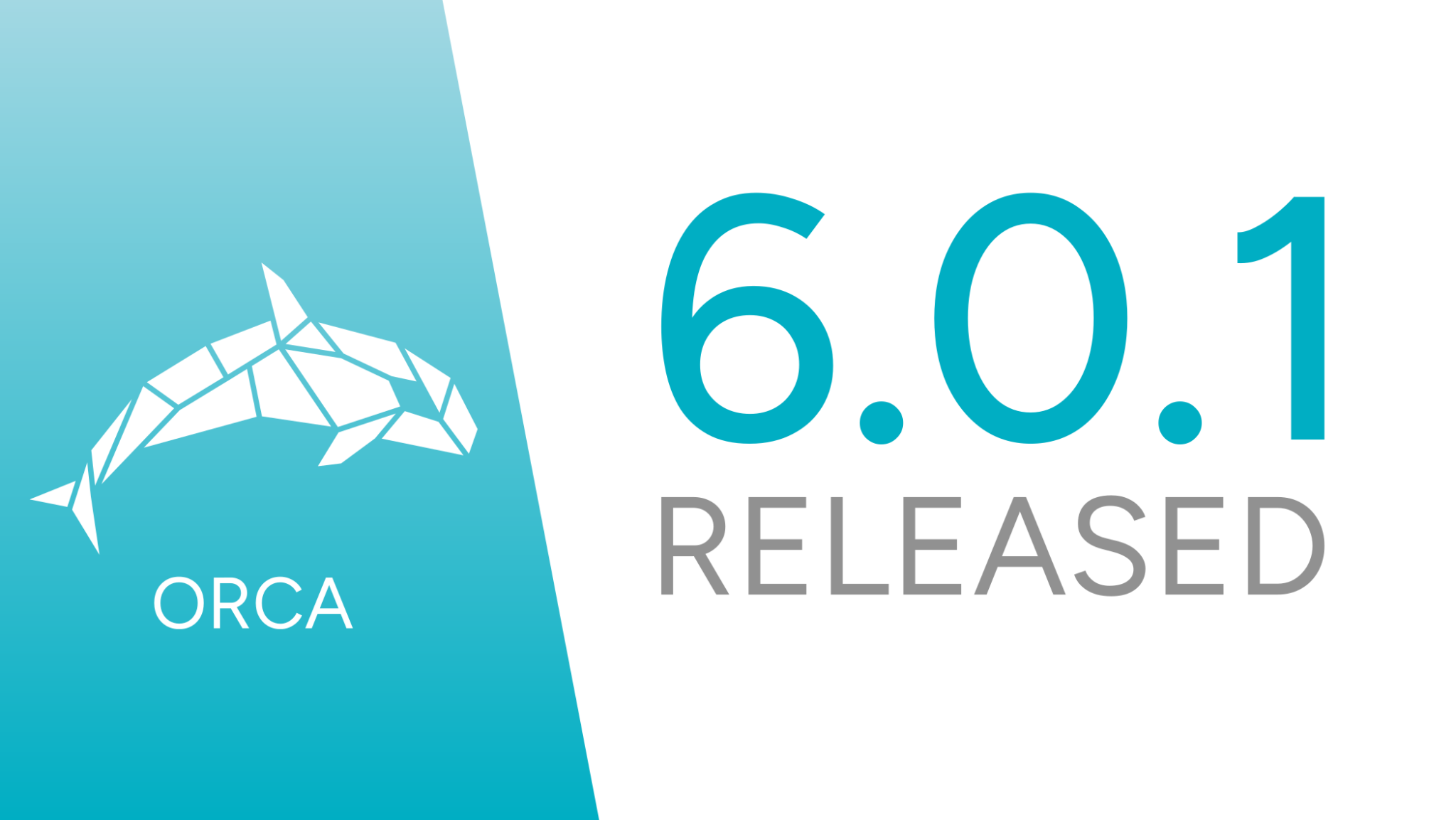 ORCA 6.0.1 - FACCTs