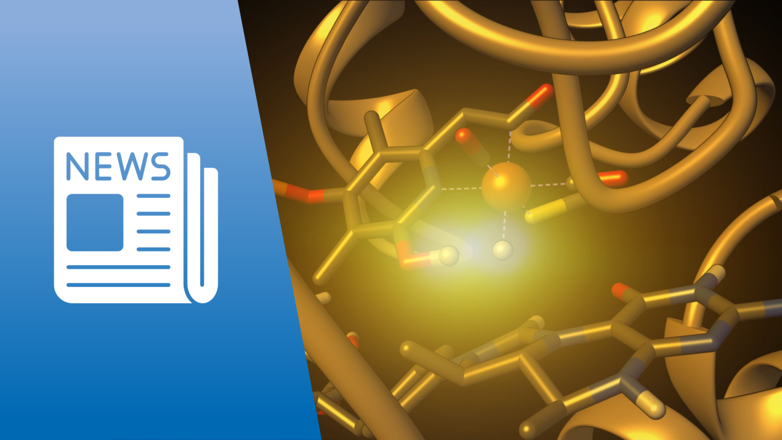 [Fe]-hydrogenase catalysis visualized using para-hydrogen-enhanced nuclear magnetic resonance ...
